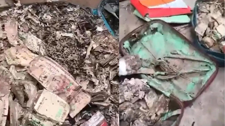 TMC leader named in FIR after termite-eaten currency notes, firearm ...
