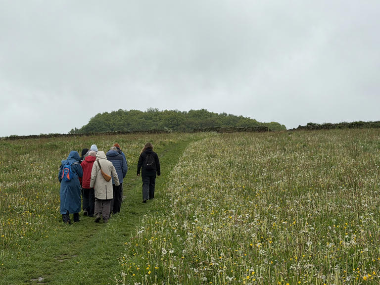 Derbyshire Wildlife Trust unveils nature-led vision for Common Farm in ...