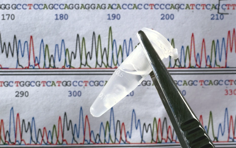 Why your best diet is written in your DNA