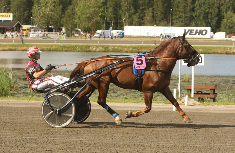 Päivän ravit: Kuninkaan paluu