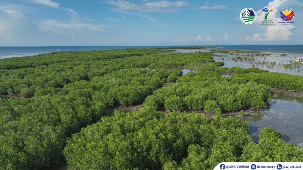 Measures proposed to protect Talibon bird sanctuary in Bohol