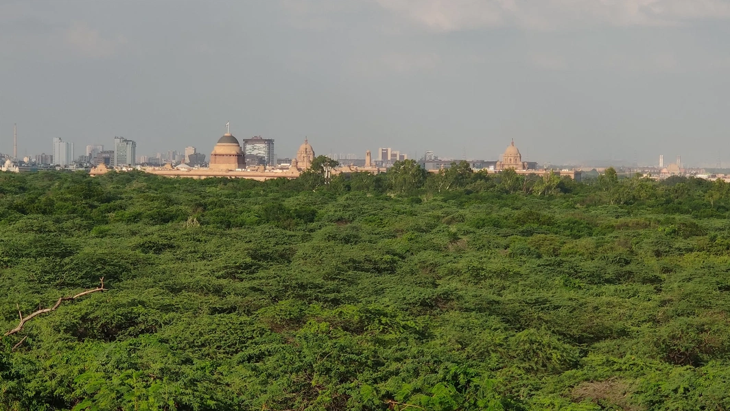 Delhi’s nights stay dangerously hot as heat stress deepens