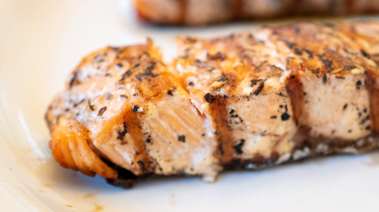 12 best types of fish for grilling