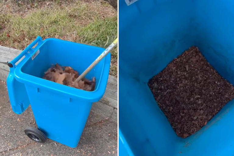 Aussie gardener shares simple solution to frustrating bin problem ...