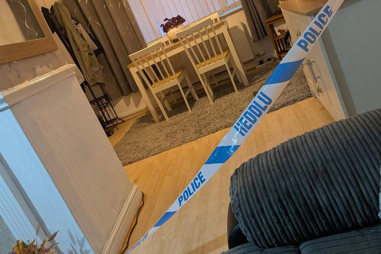 'Petrol bomb' thrown into elderly couple's home after window smashed