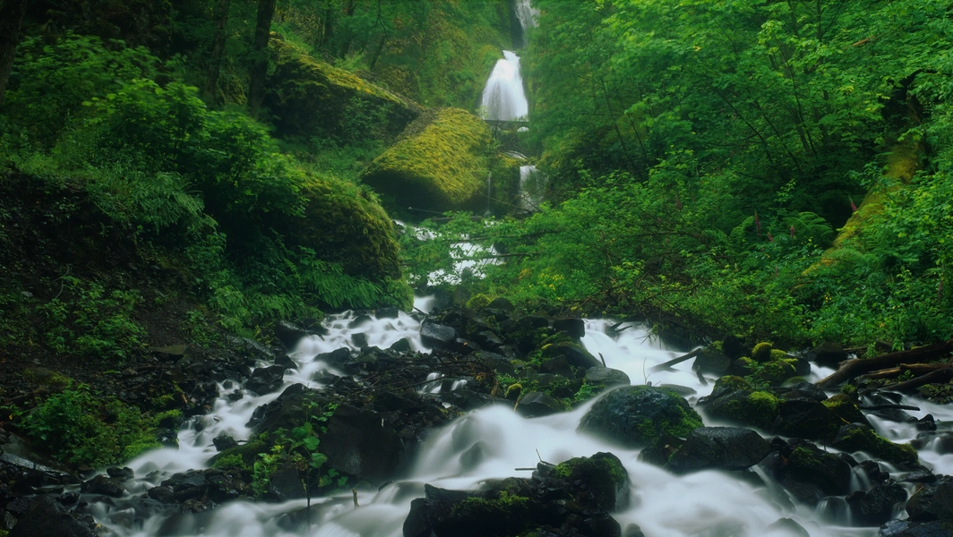 15 hidden waterfall trails across Oregon
