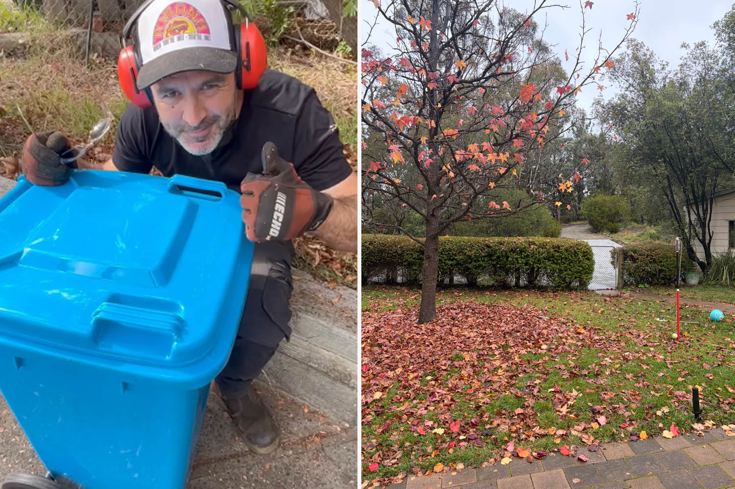 Aussie gardener shares simple solution to frustrating bin problem ...