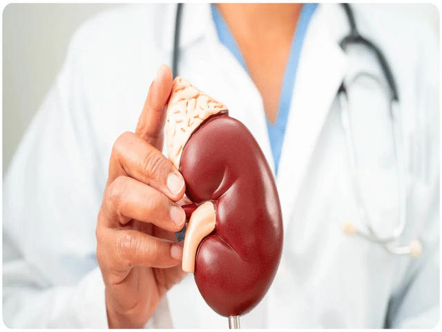 Kidney health alert: Foods kidney patients should limit or avoid for ...