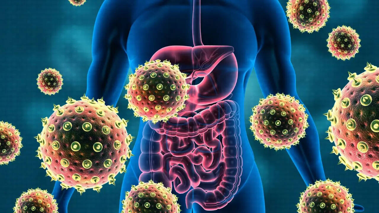 Salmonella cases in England hit decade high, health officials urge good ...