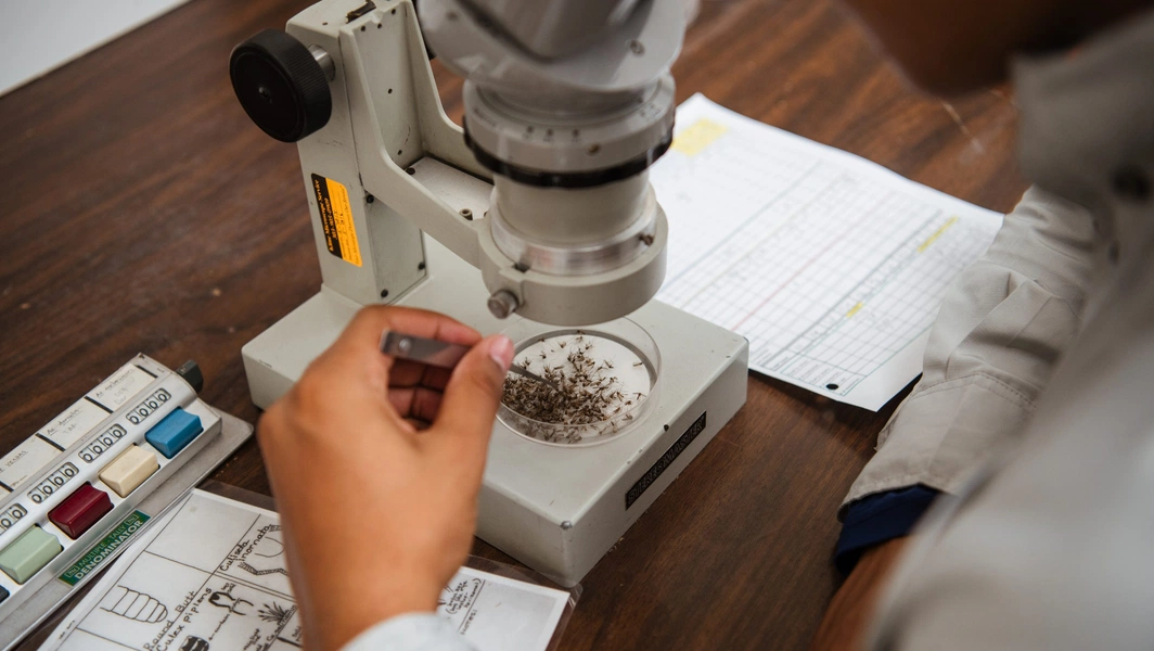 EPA faces public backlash over Verily mosquito release plan