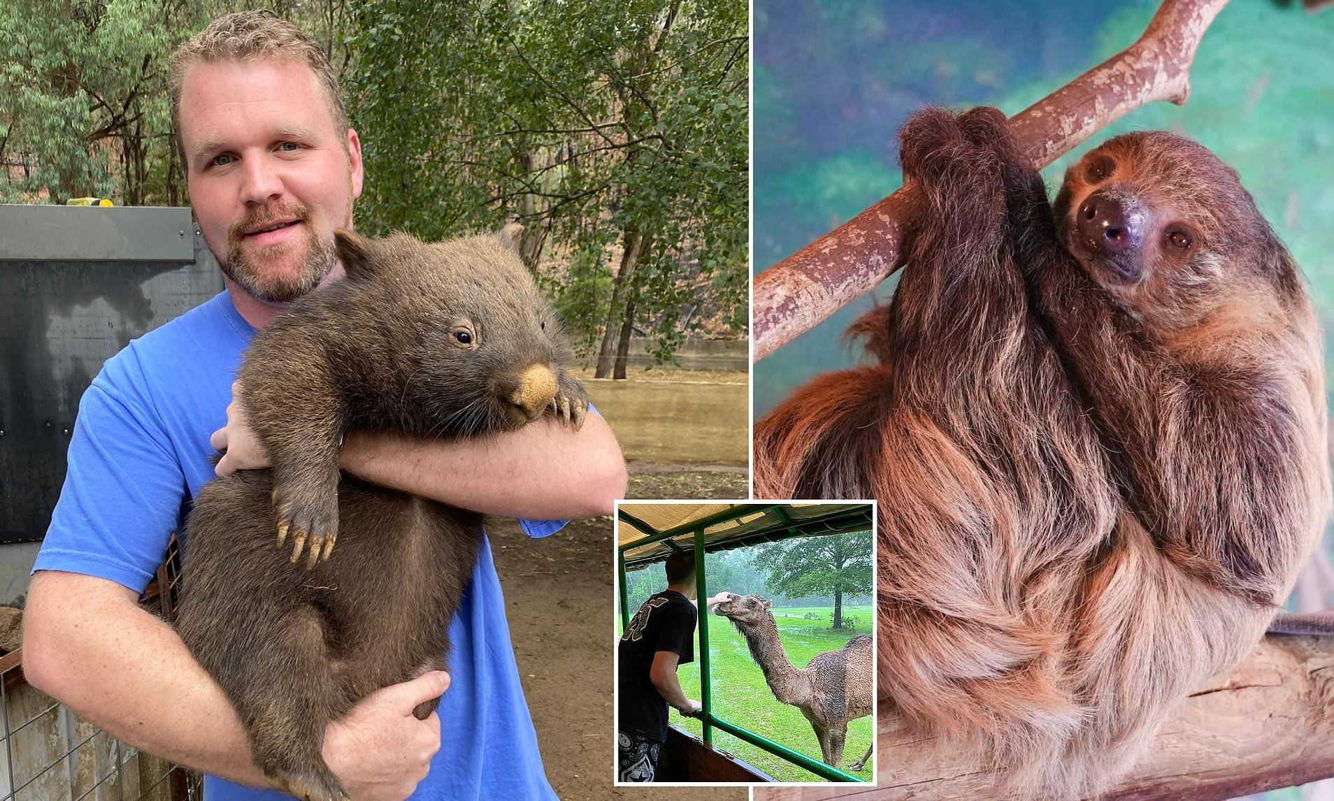 Inside America's worst zoo as staff compare it to Tiger King after rare ...