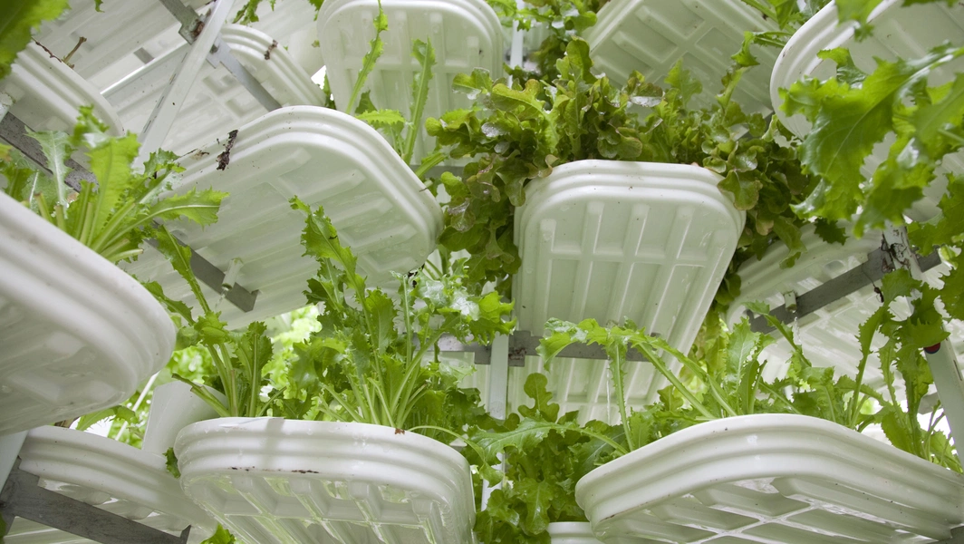 23 clever ideas to make small gardens feel bigger