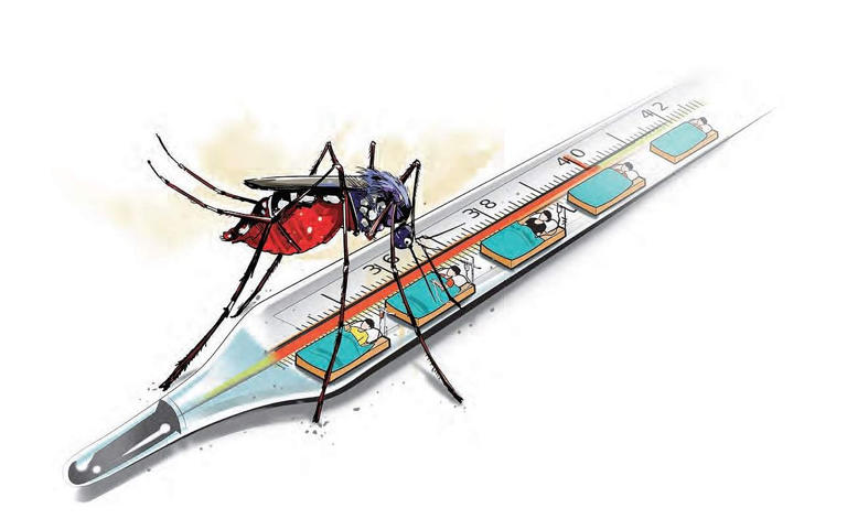 Delhi records decline in vector-borne diseases, says MCD