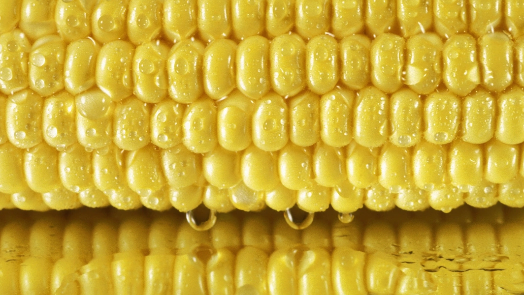 Sweet corn secrets for perfect summer bites