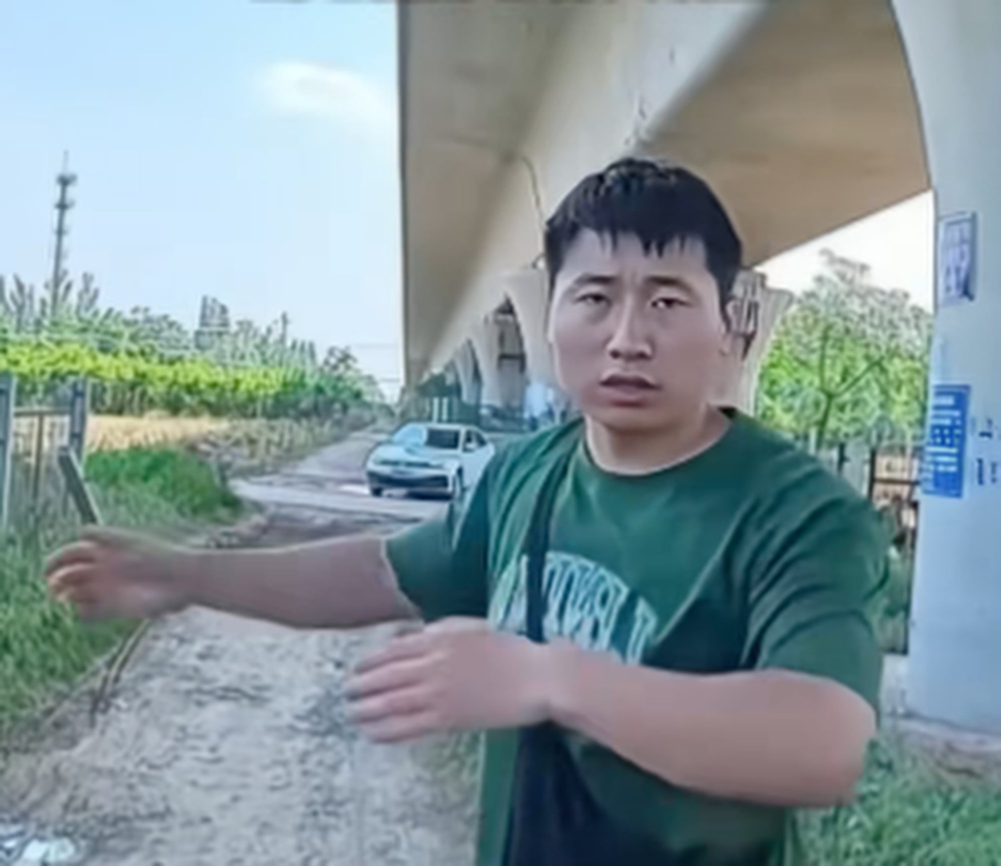 China celebrity dog stolen, sold for US$25 and eaten; owner sues ...