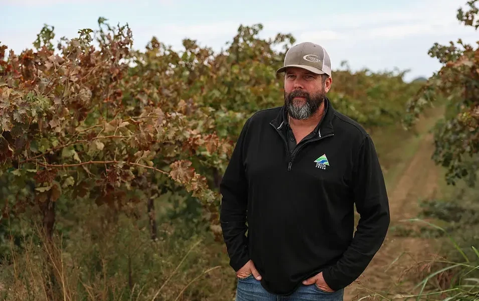 Lodi’s wine country emerges as a rising culinary destination