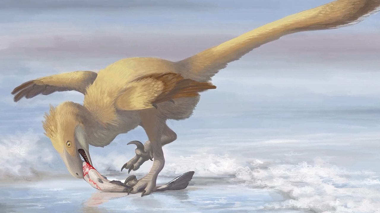 The fossilized dinosaur battle frozen in time for 70 million years