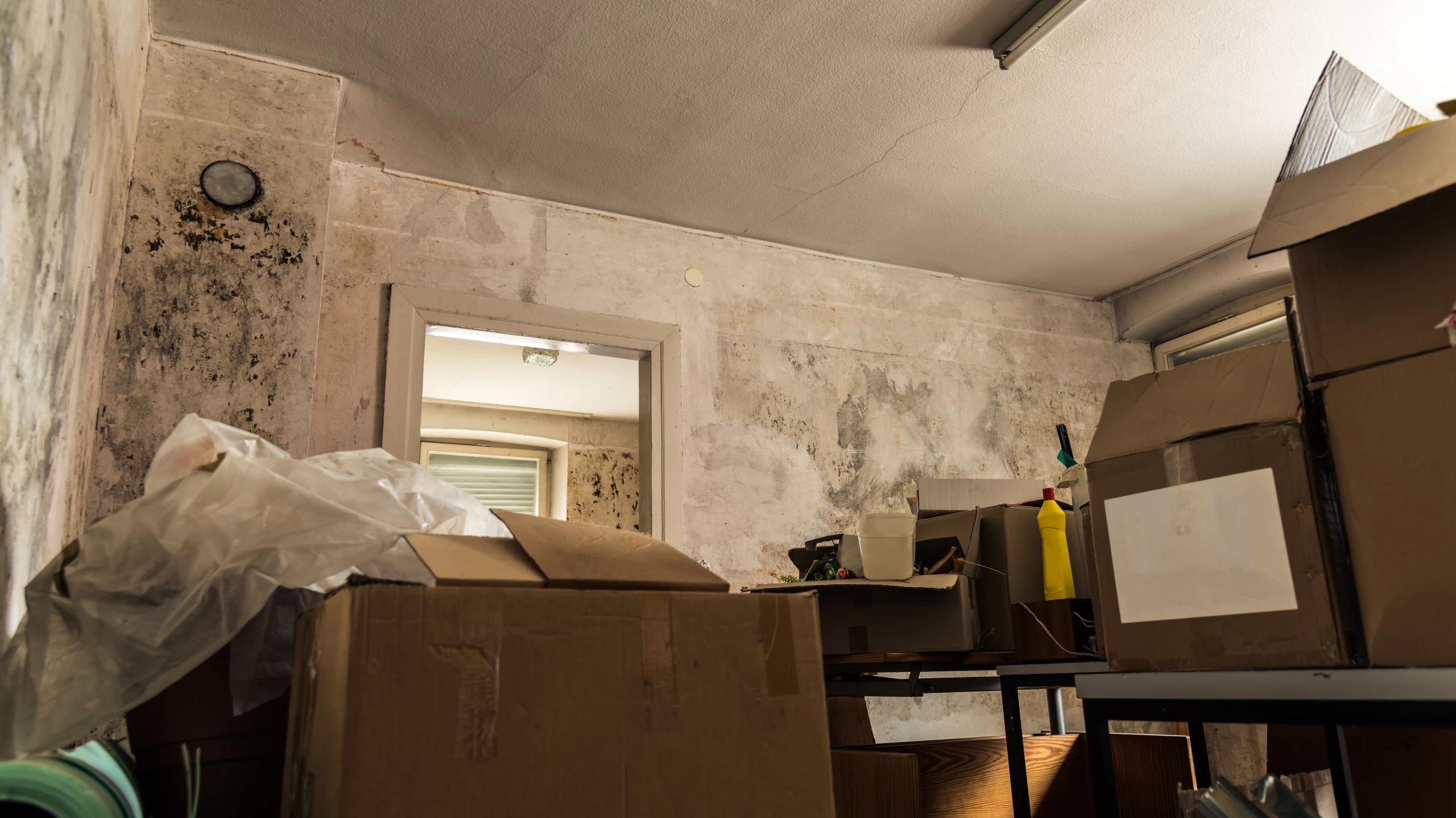 Habitat indigne : quinze mois ferme pour un agent immobilier escroc à ...