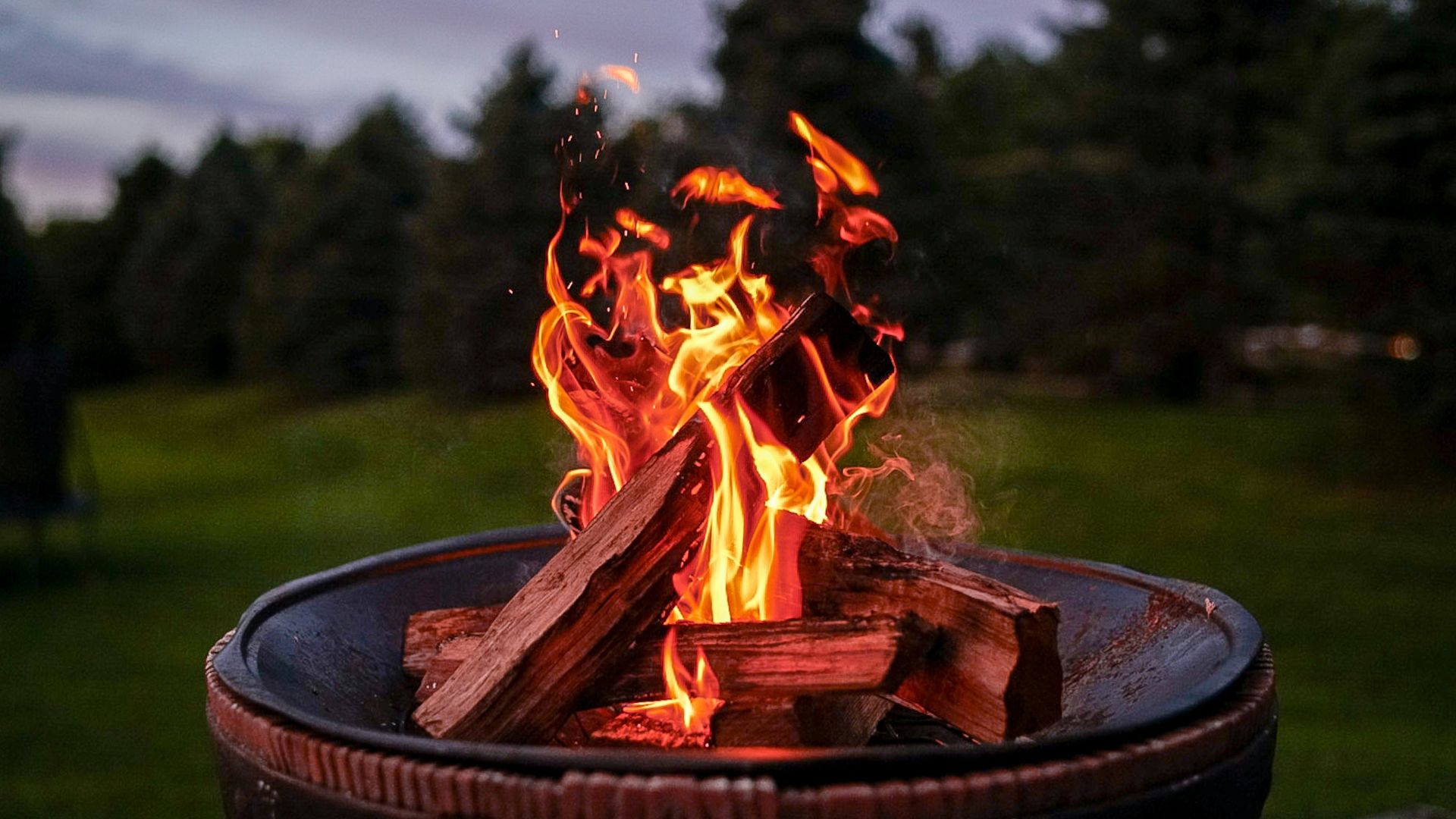 How ancient humans learned to cook