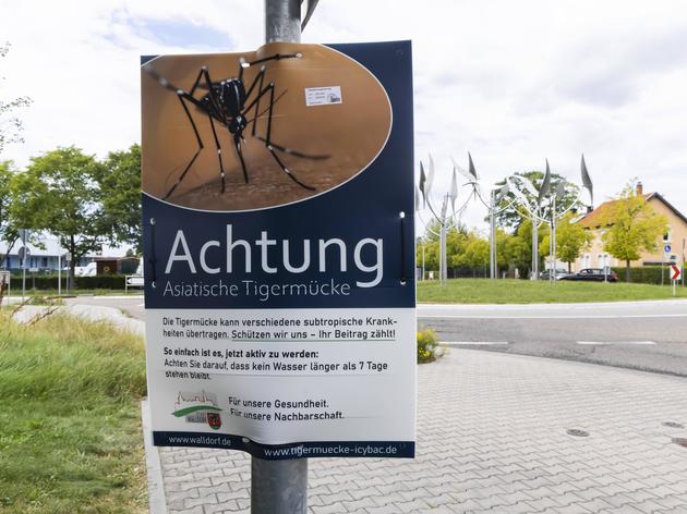 Gefährliches Insekt macht sich in NRW breit – Landesamt appelliert an ...