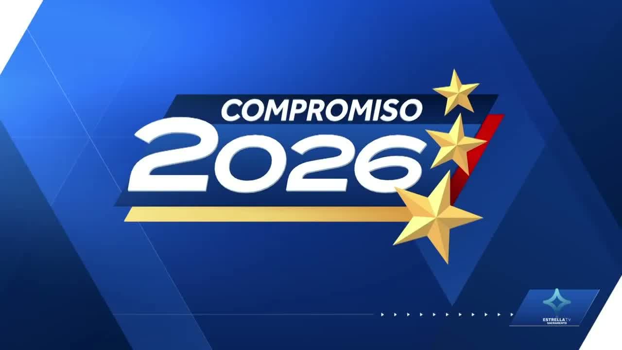 Election results & political analysis