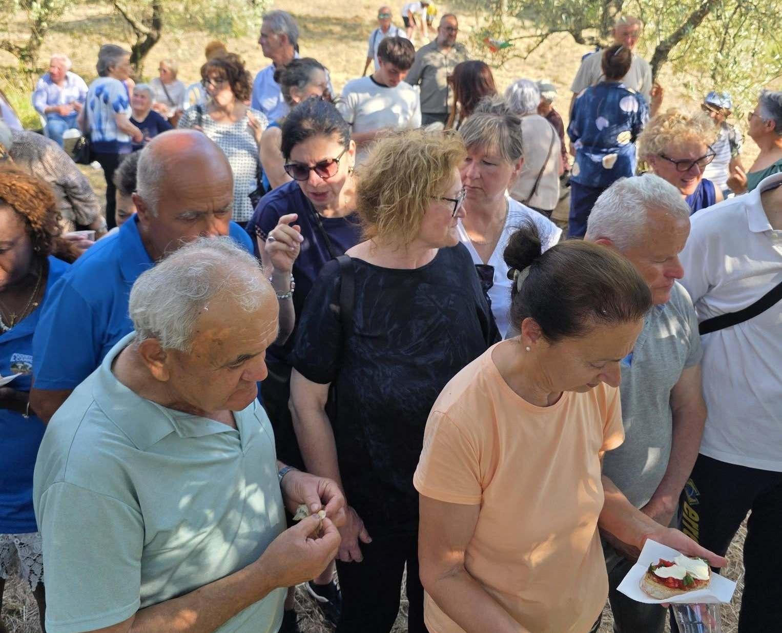 Passeggiata e degustazioni: è tornata la Merenda nell’oliveta