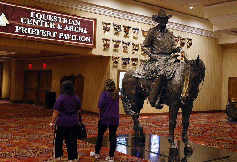 Prosecutors seek adult charges for teen accused of stabbing horses at ...