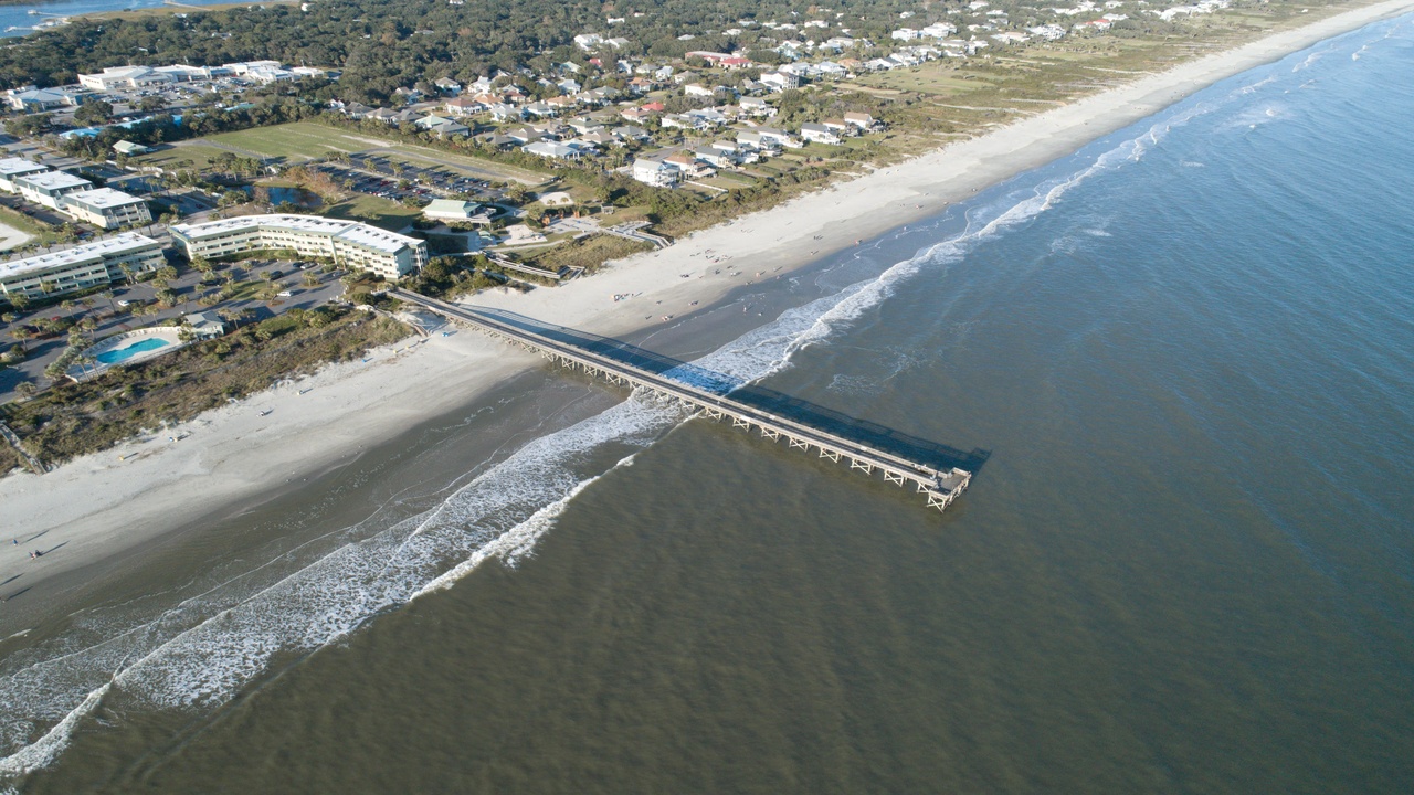 Sea turtles, dolphins, and a 160-year-old military secret: Welcome to ...