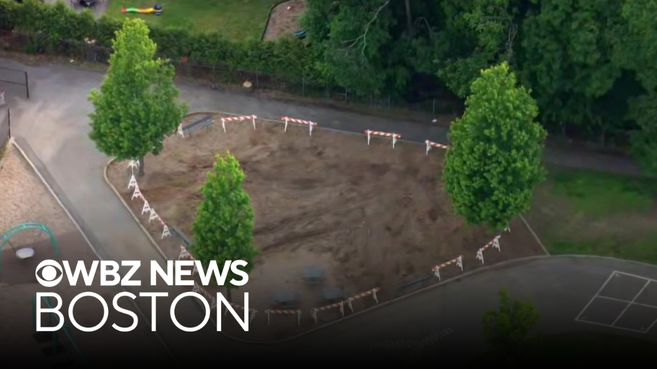 Melrose playground removed after tree kills 9-year-old boy
