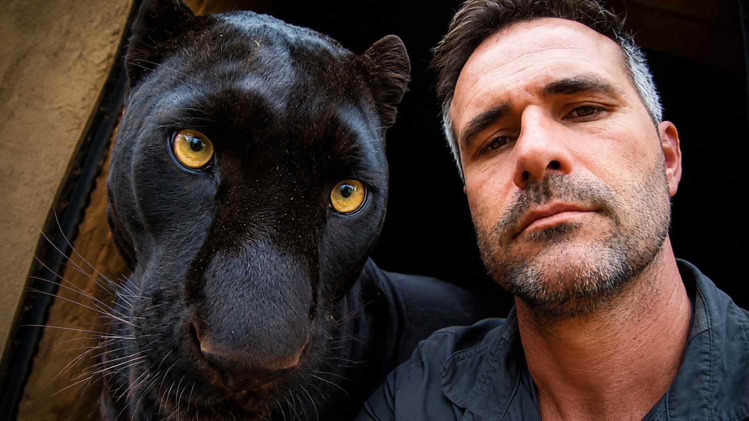 The stubborn leopard move that finally worked