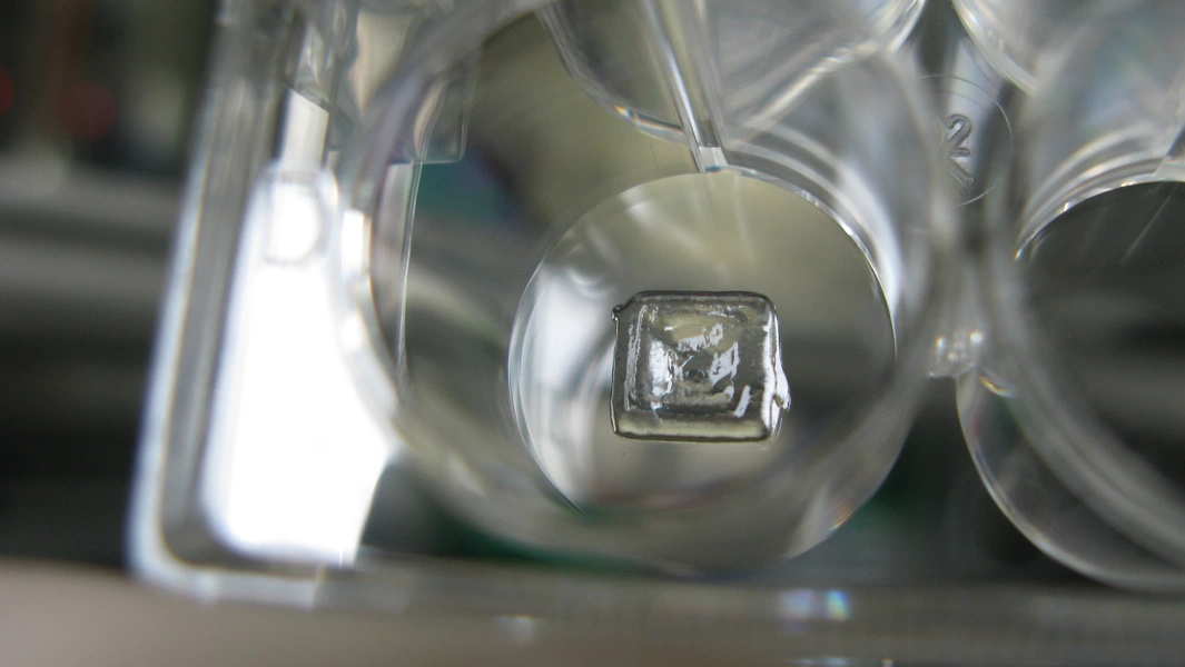 Scientists 3D print living skin that grows blood vessels