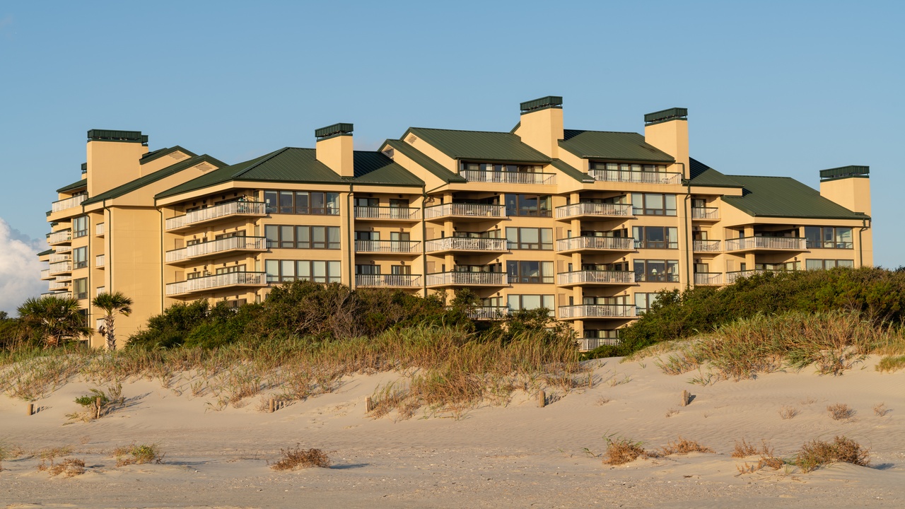 Sea turtles, dolphins, and a 160-year-old military secret: Welcome to ...