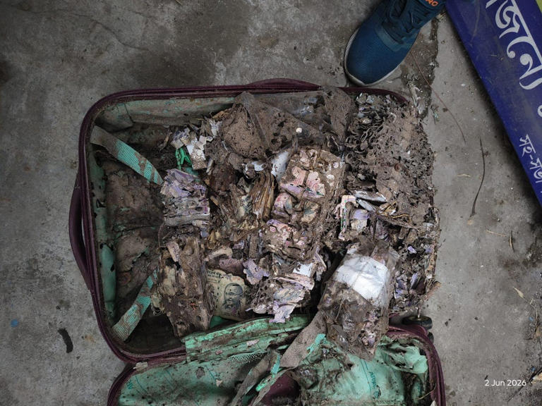 Video: Rs 1 lakh termite-infested cash found in Kolkata college union room