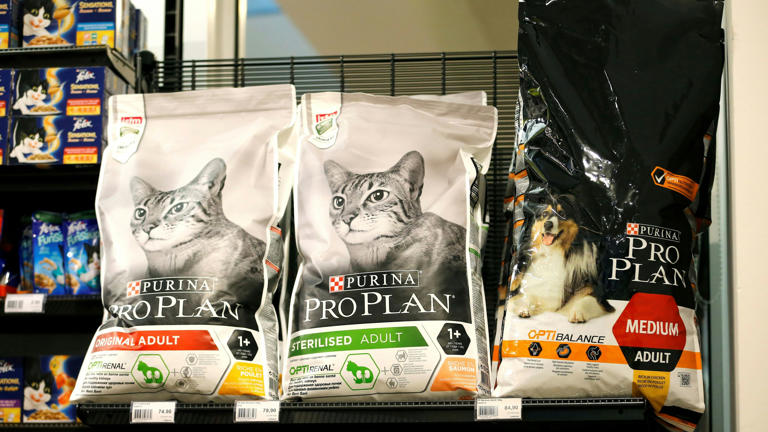 Nestle setzt jetzt auf Katzen statt Babys