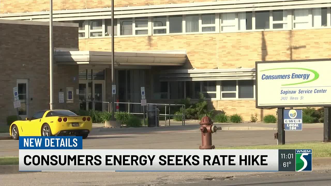 Consumers Energy proposes grid upgrades aimed at reduced power outages ...