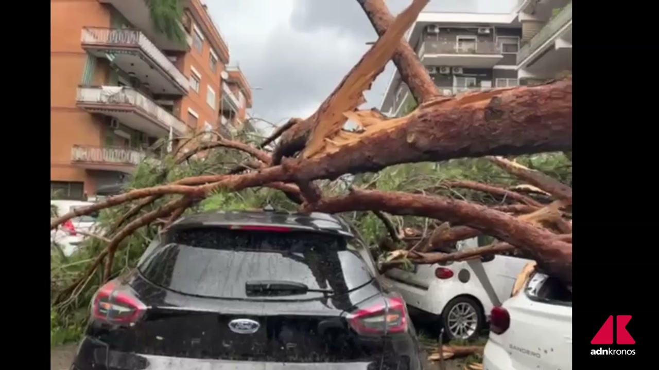 Tromba d'aria a Roma, alberi caduti e auto distrutte a Conca d'Oro