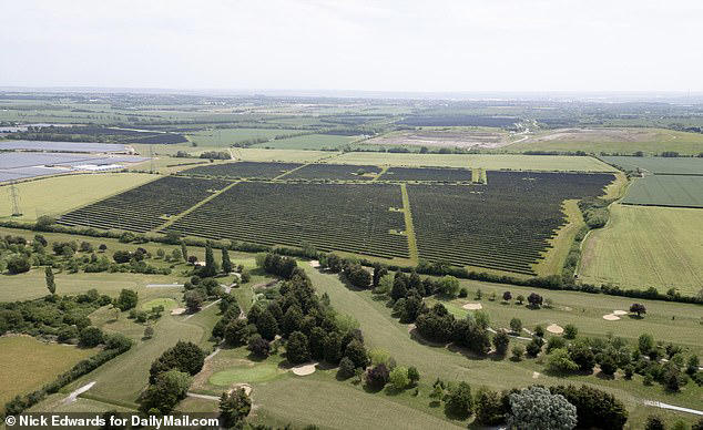 Locals fear Europe's biggest data centre will 'destroy' village