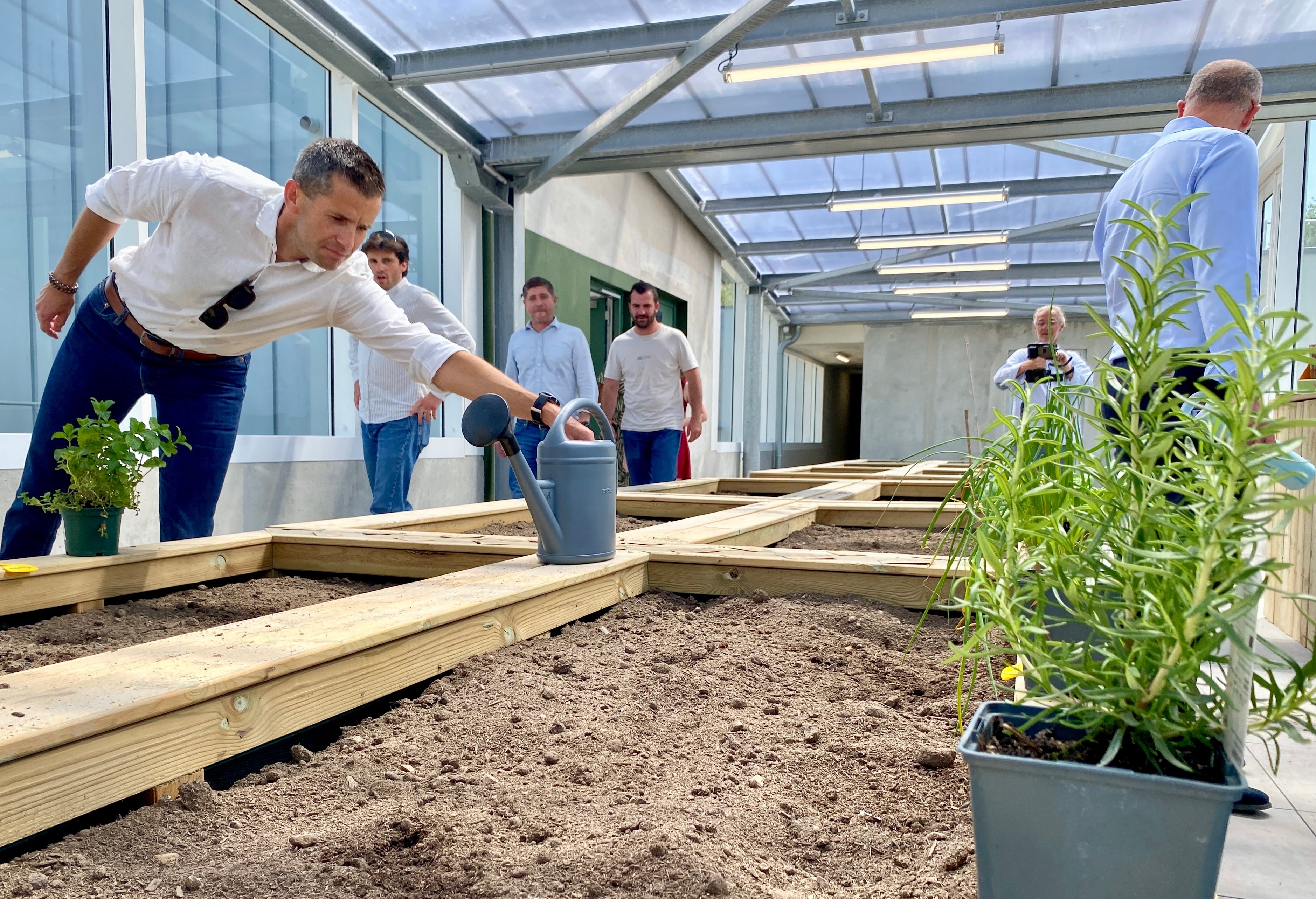 « Faire pousser ses tomates, ça peut être sympa » : à Dieppe des serres ...