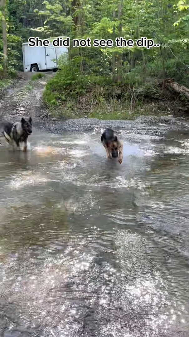 She did not see the Dip Creek moment