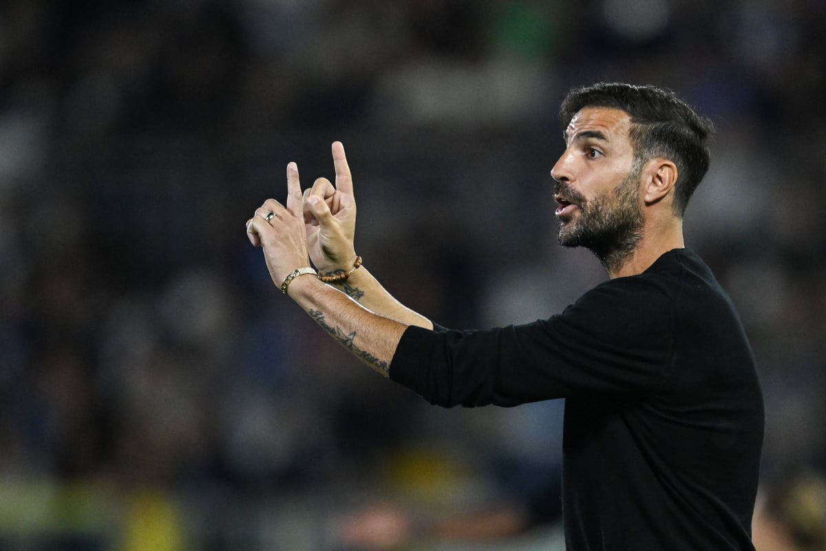 Cesc Fabregas wants to sign 'beautiful' Liverpool star