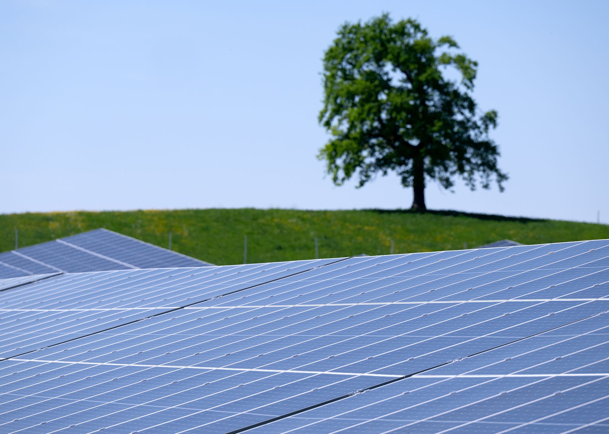 German solar firms see order surge as Iran war drives up energy prices