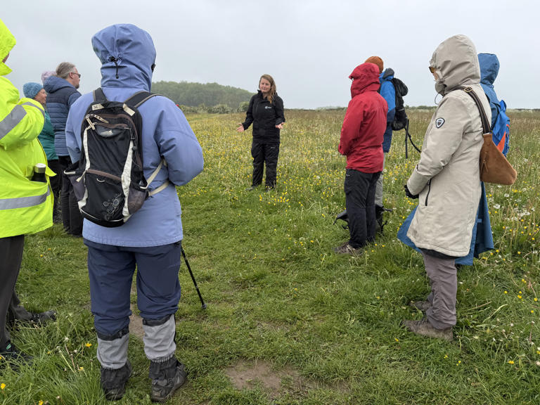 Derbyshire Wildlife Trust unveils nature-led vision for Common Farm in ...