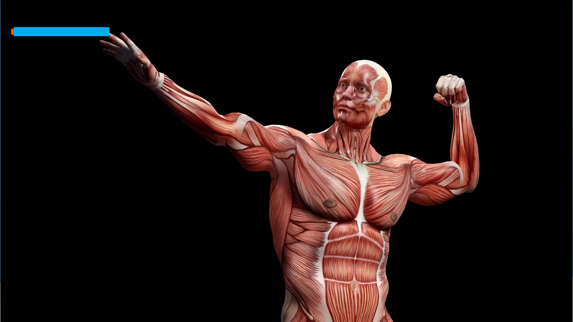 Doctors explain when muscles to train as you age becomes serious