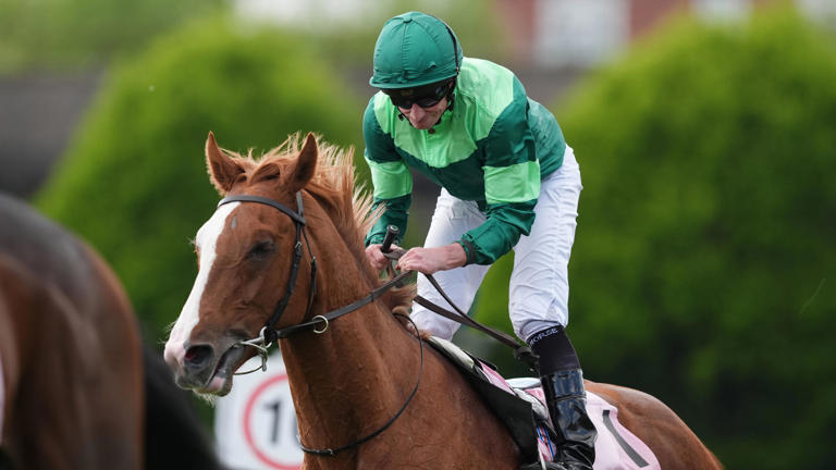 Benvenuto Cellini leads four-strong Aidan O’Brien team for Derby