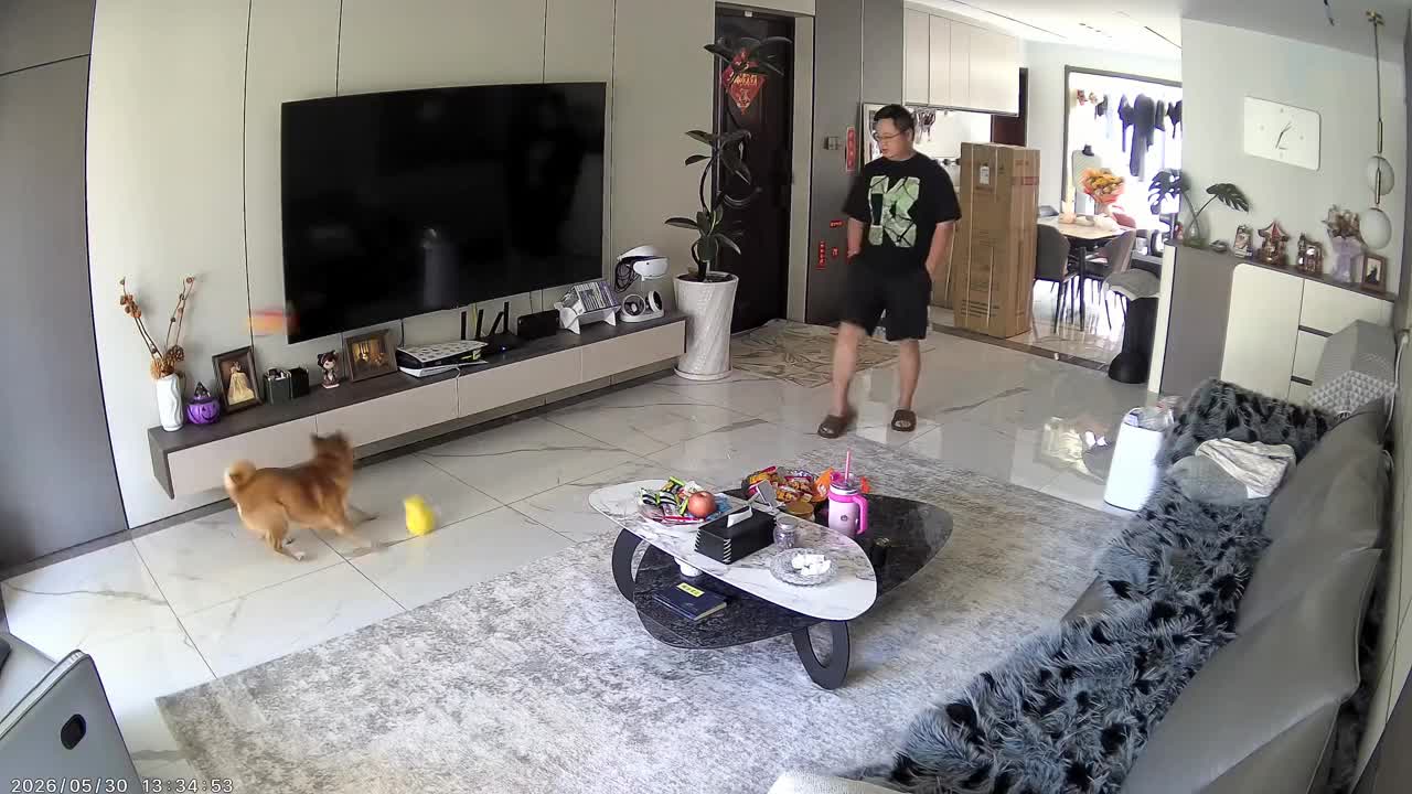 Man blames dog after vase shatters during playtime in Guizhou, China