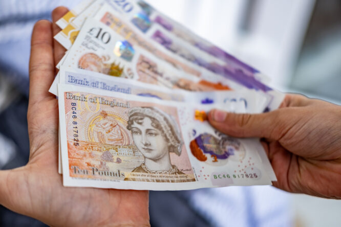 Goodbye Churchill, hello hedgehog? The wildlife in line for UK banknotes