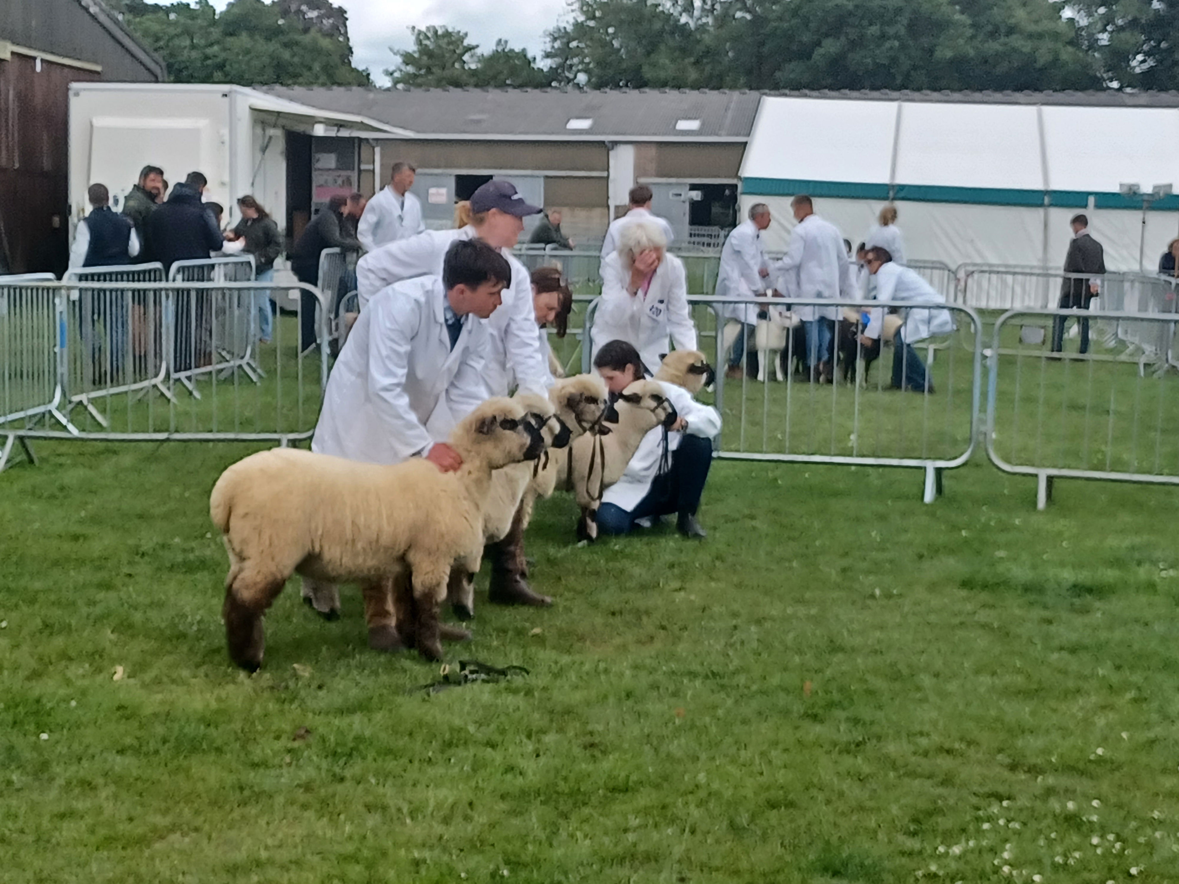 Farmers and growers set to celebrate region’s £800m farming industry at ...