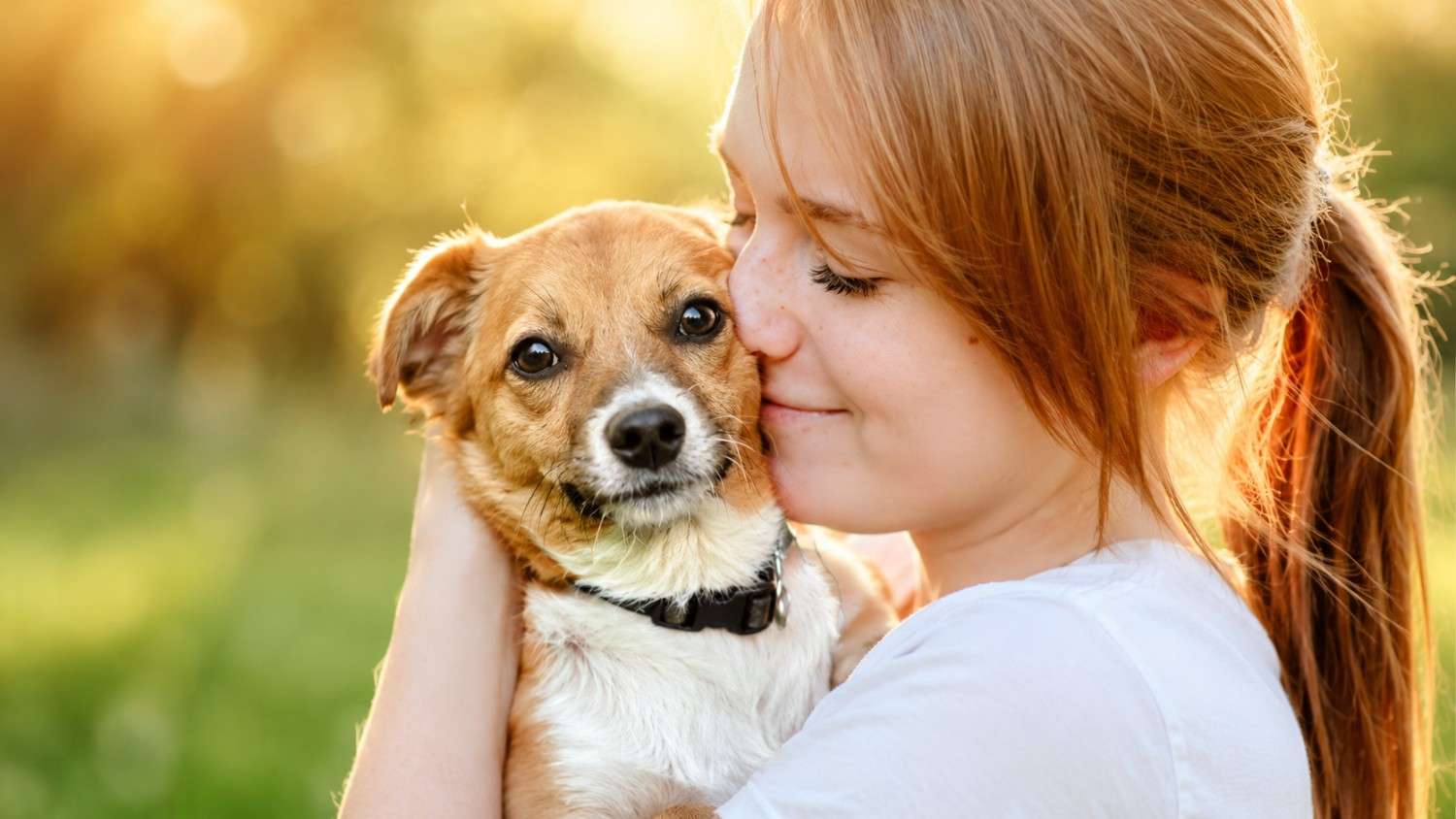 We helped this rescue puppy find her family