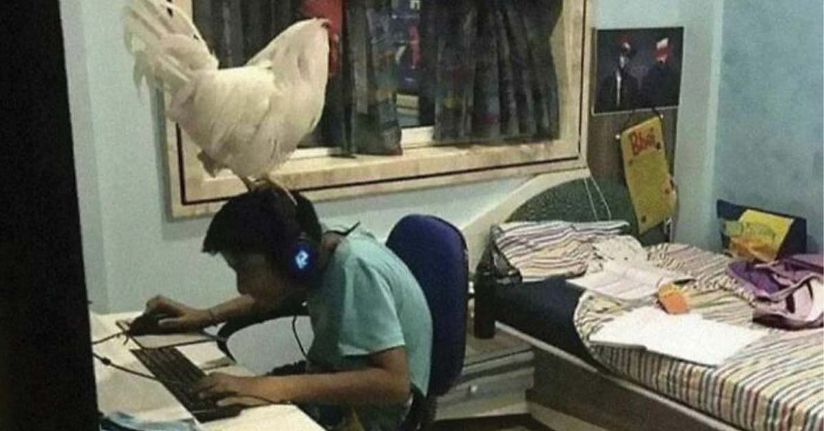 20 times a photo raised more questions than it answered
