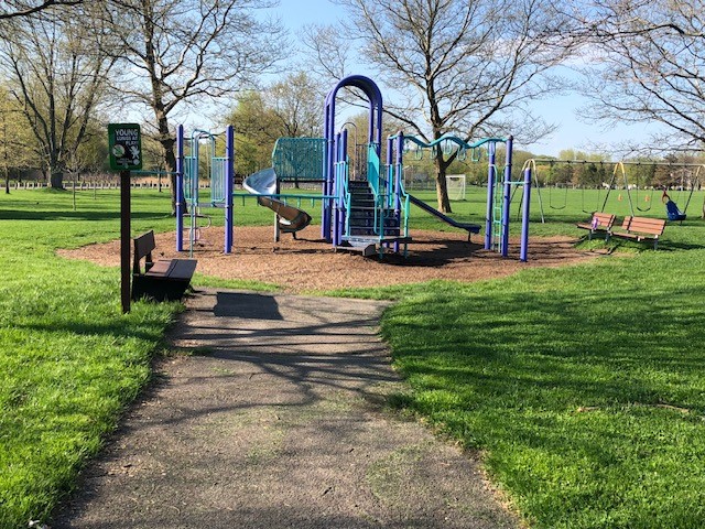 Syracuse parks department calls for public feedback about replacing two ...